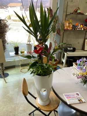 大分県速見郡 日出町の花屋「（有）フラワーハウスあらかね」をご紹介 フラワーギフトはプロのお花屋さんにおまかせ！フジテレビフラワーネット 8848