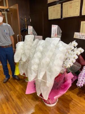 大分県速見郡 日出町の花屋「（有）フラワーハウスあらかね」をご紹介 フラワーギフトはプロのお花屋さんにおまかせ！フジテレビフラワーネット 9349
